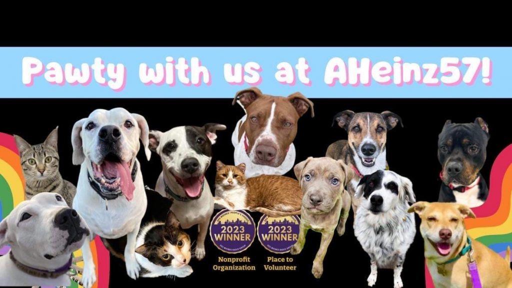 AHeinz come pawty with us - AHeinz57 Pet Rescue and Transport